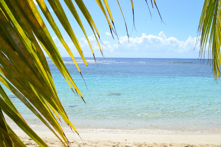 Bungalow Petite Terre Plage De La Caravelle - Guadeloupe