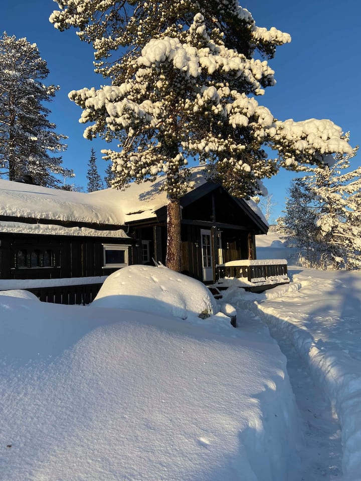 Koselig Hytte På Vågslid. Parkering. - Haukeli