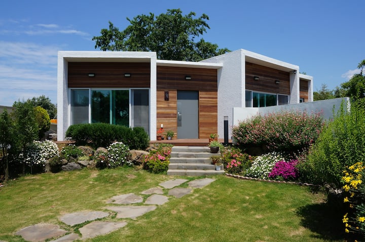 담따라 (나무)
조용하고 평화로운 서쪽마을안
돌담따라 들어오세요 - Jeju-si