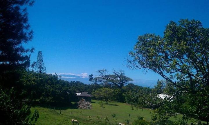 Sundeck Suite Kohala Country Haven Big Isle Aptmt. - Hawi, HI