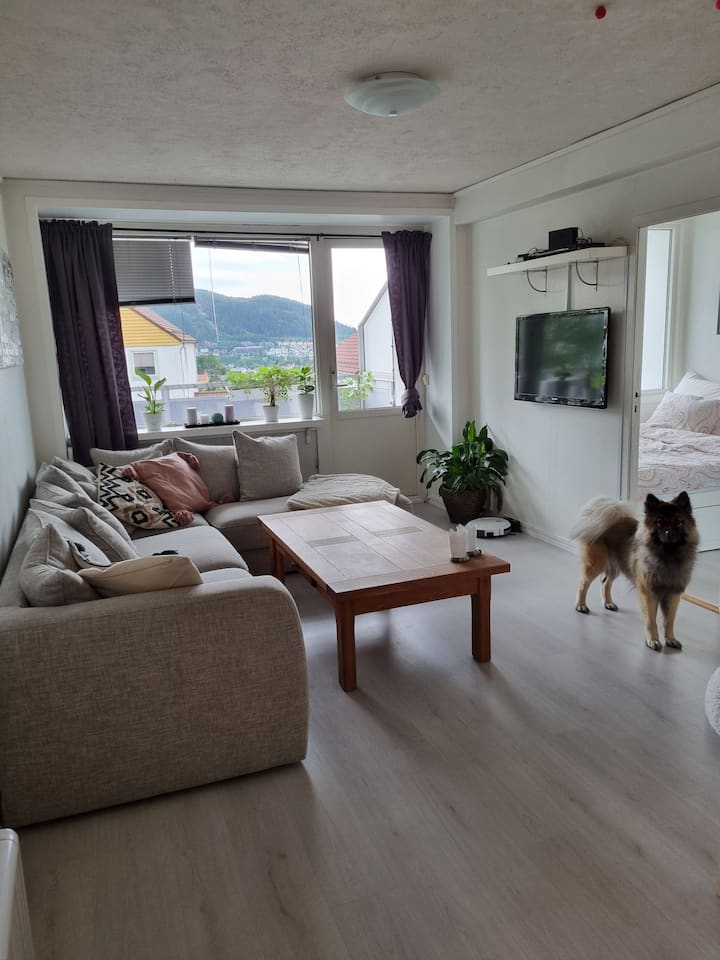 Pen Leilighet Sentralt På Landås - Bergen, Noruega