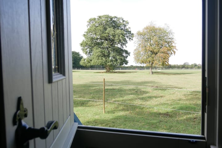 'Feathers' Shepherd Hut Accommodation - Kent