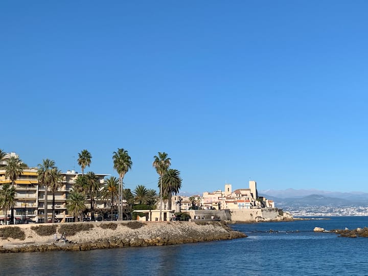 Plages à 100m Appart. 2 P Climatisé Parking Privé - Antibes