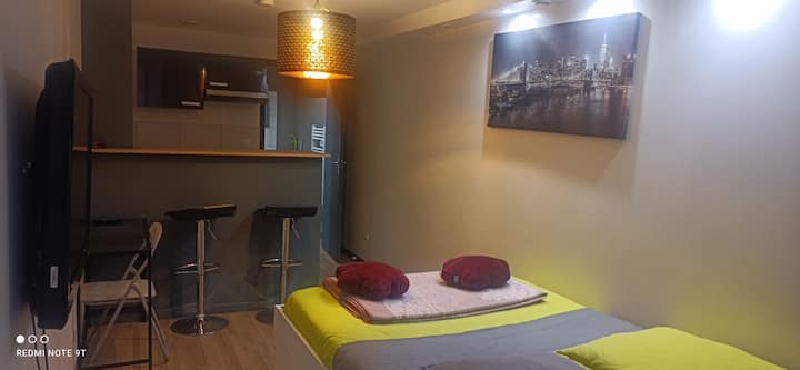 Studio ÉMeraude Tout éQuipé - Villeurbanne