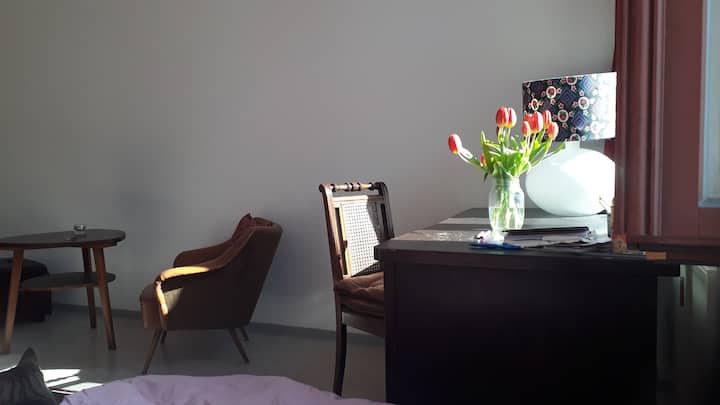 Gemütliches Zimmer In Lebendigem Viertel - Leipzig