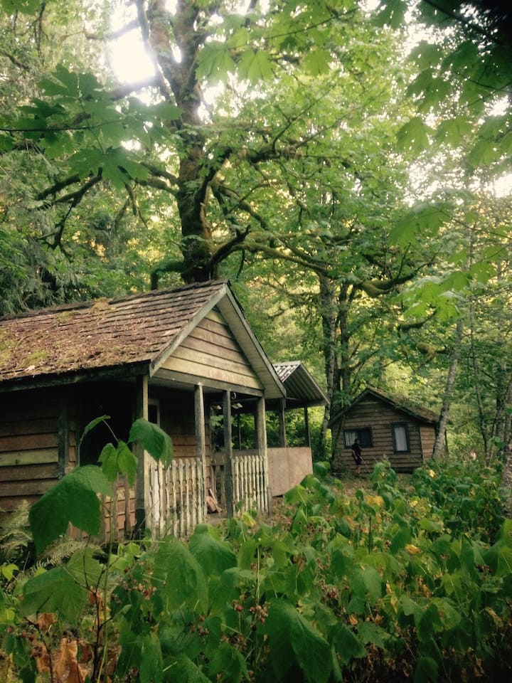 Eco Retreat Cabin 1, Cirrhosis Of The River - Chilliwack