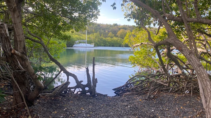 Al’mat Location Sud Martinique - Martinica