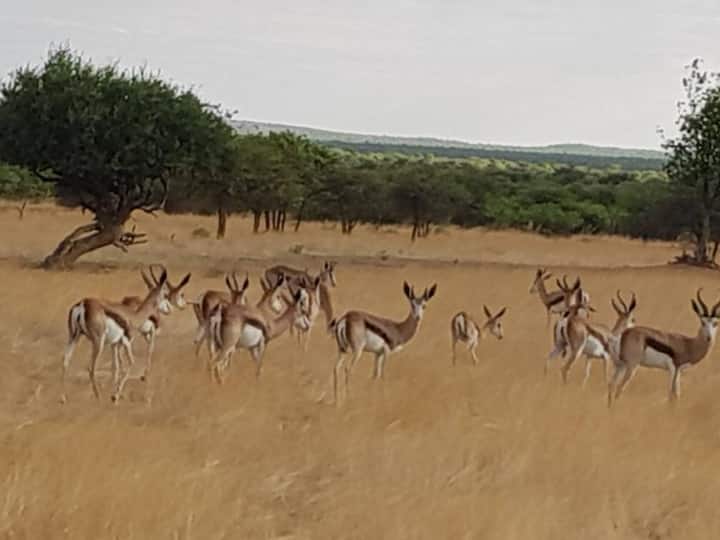 Eco-farm, Private Self-catering Chalets - Namibia