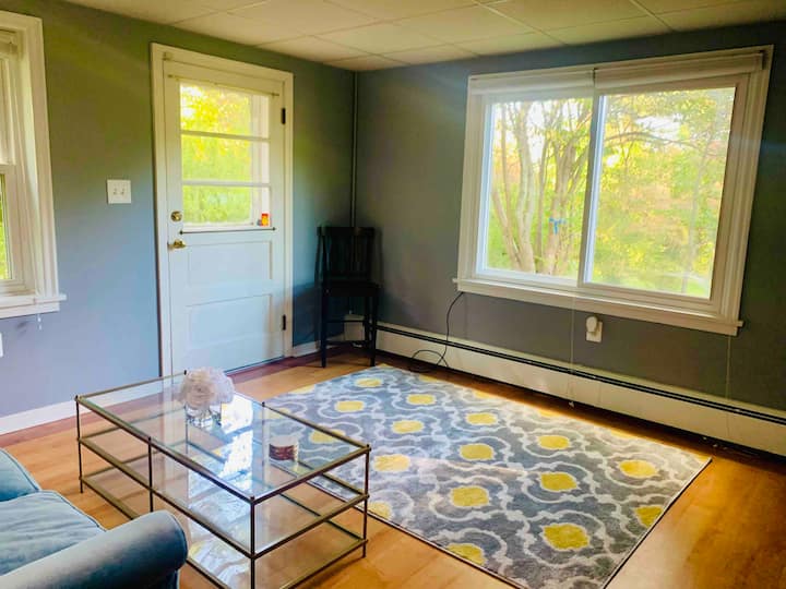 Lovely 2-bed Garden Apt- Close To Cornell/downtown - Dryden, NY