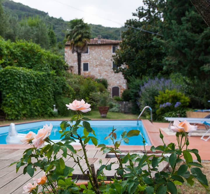 '800 Stone-villa In Lucca - Lucca, Italia