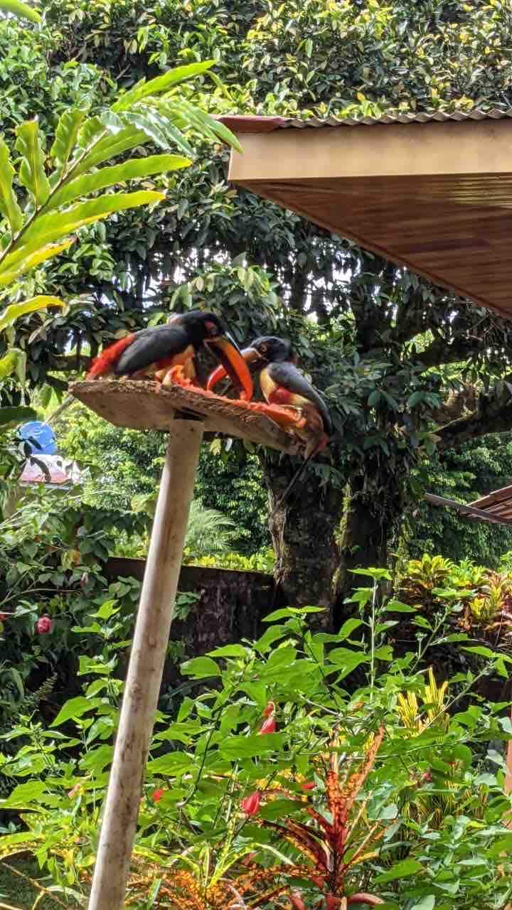 La Casa De Milka - Panama