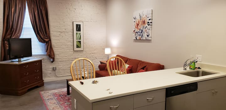 Modern Condo @ Art/museum District - New Orleans, LA