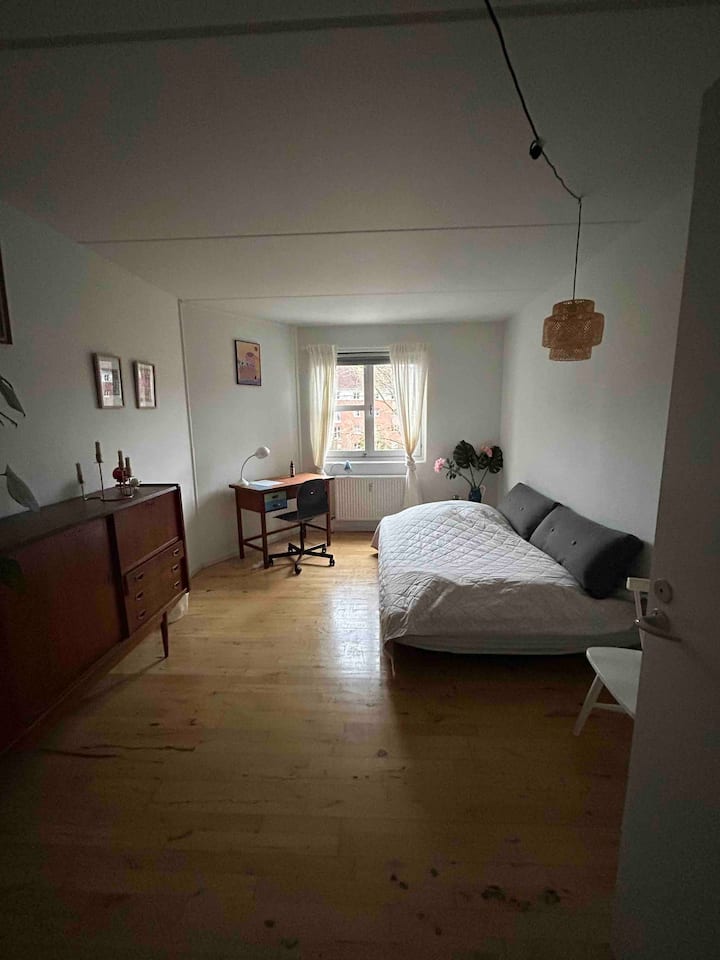 Central Room In Copenhagen - Copenhaguen