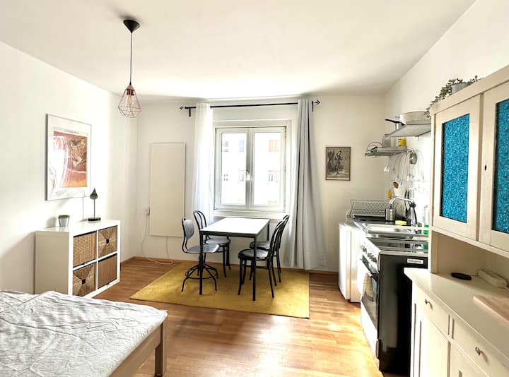 Quiet Studio Apartment Near University - Graz