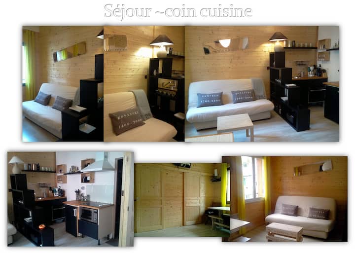 Appartement T2 Centre Au Bord De La Rivière Ariège - Ax 3 Domaines