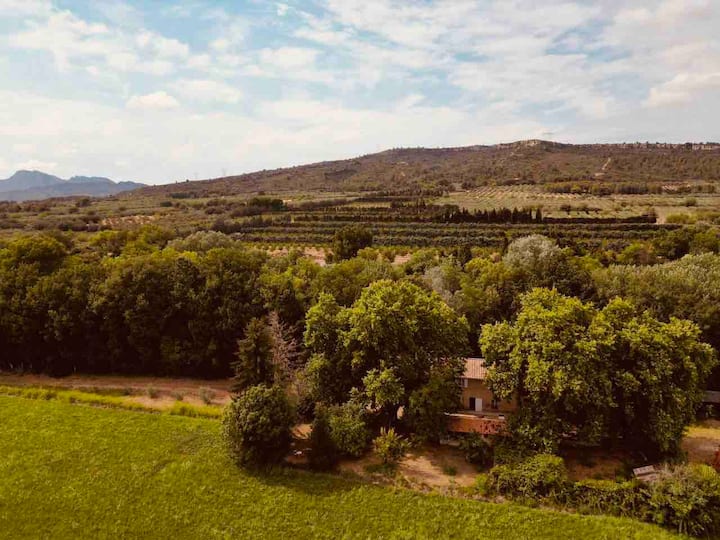 Gîte Les Trescalles, Au Cœur De La Campagne - Sénas