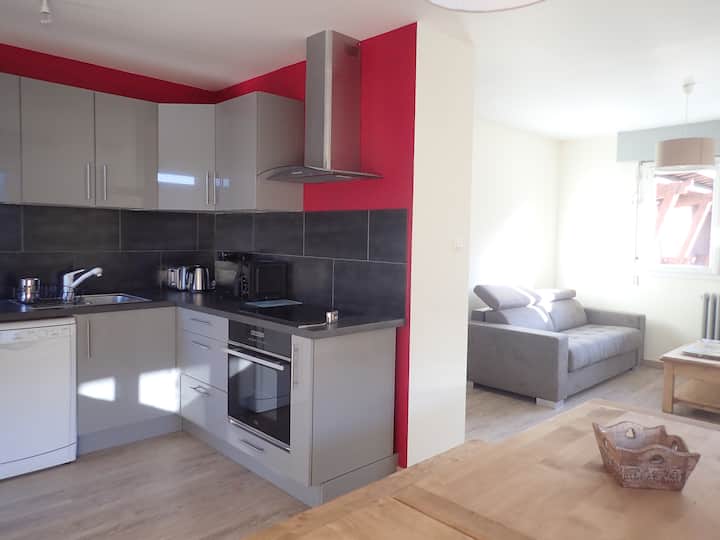 Location Saisonnière D'un Bel Appartement Meublé - Saint-Lary-Soulan