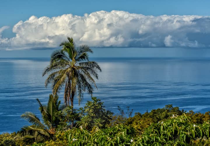 Captain Cook Vacation Rentals | House and Condo Rentals | Airbnb