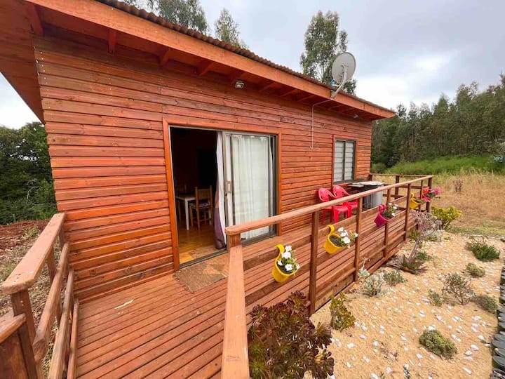 Acogedora Cabana En Curanipe - Pelluhue