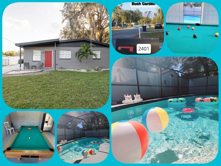 Entire House W/private Pool-bushgarden View - Tampa