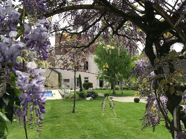 Les Perseides - Nuits-Saint-Georges