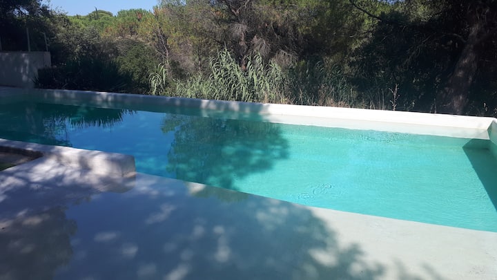 Studio Dans 1 éCrin De Verdure - Calvisson