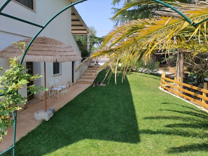 Dea Puglia
Casa Vacanze A Putignano - Putignano