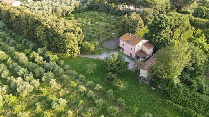 Farmhouse 88 - Marina di Pietrasanta