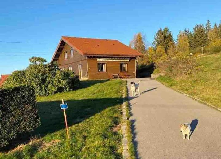 Au Pied Des Pistes, Vue  Sur Lac - Xonrupt-Longemer