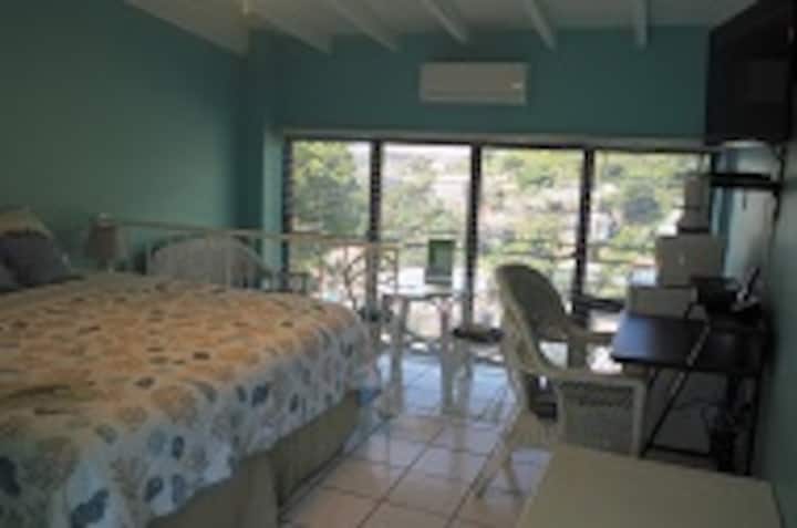 A5 King Bed -Great View - Saint Thomas