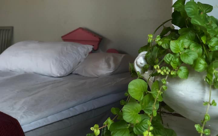 Anrikt Sommarnöje På Holgården - Leksand