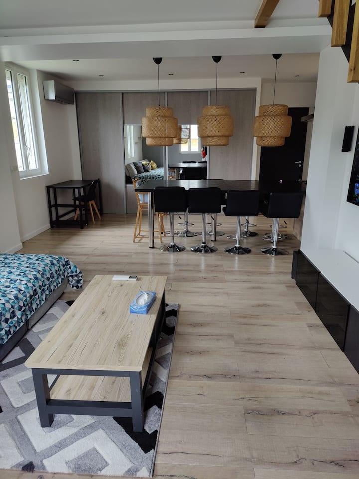 Duplex Familial Climatisé - Chambéry