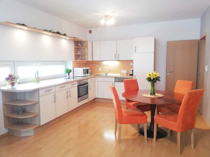 2 Rooms Apartment With Balcony And Garage - Brno