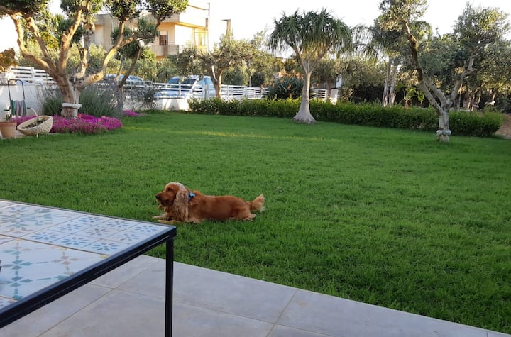 Villa Ninà-zona Kitesurf - Marsala