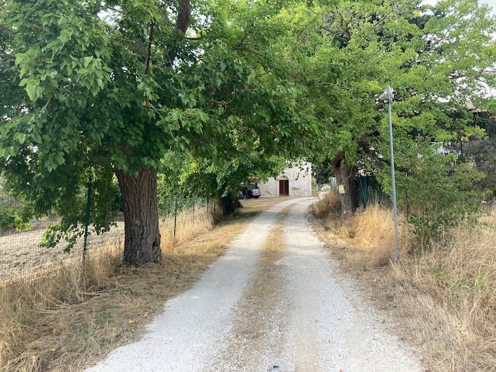 Casa In Campagna (Jesi) Vicinissima Alla Città. - Marche