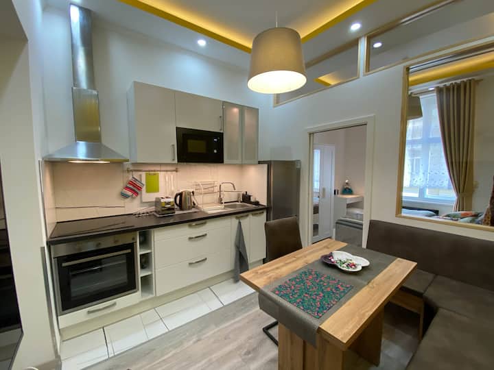 Fully Furnished Apartment N.5 With Free Parking - 布拉格