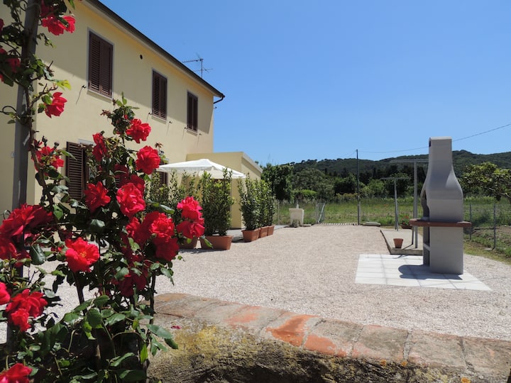 Casa Emy - 1 Bedroom - 4 Beds - Elba