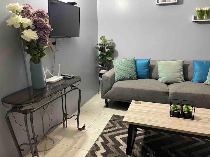 Modern Comfort 1 Bdrm In New Kgn - Kingston