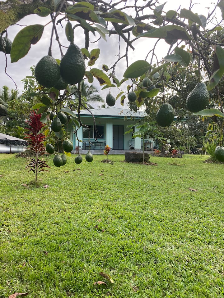 Avocado Acre 
(2 Adults/3 Kids Max). No Smoking - Pāhoa, HI
