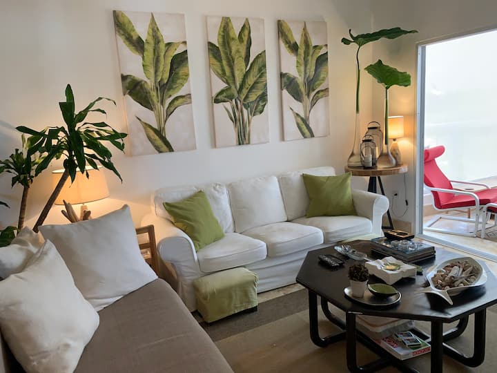 Beautiful 2 Bedroom Front Beach Apt. Playa Nueva R - Caribbean