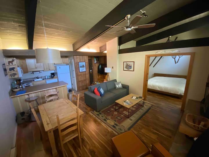 Steamboat Slopeside Getaway - Steamboat Springs