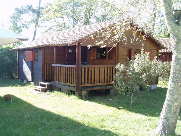 Location Vacances Chalet Hourtin Gironde - Hourtin