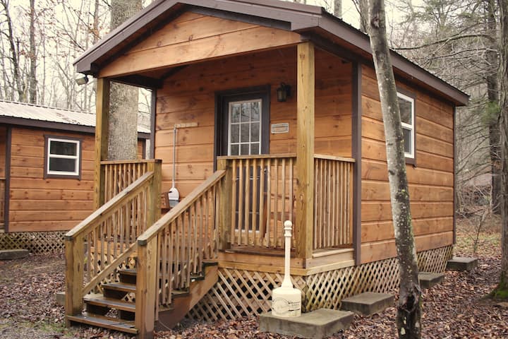 President Mini Primitive Cabin - Kumbrabow State Forest, Huttonsville