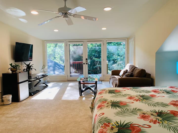 Spacious Tree-top Master Bedroom Guest Suite - Atlanta, GA