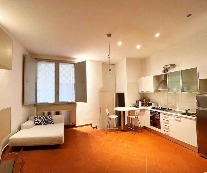 Monolocale Centralissimo Faenza, 100 Mt Da Piazza - Faenza