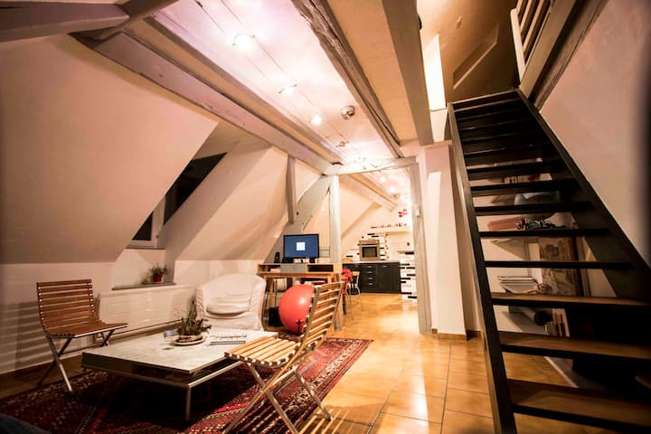 Joli Duplex Plein Centre Avec Vue Exceptionnelle ! - Strasburgo