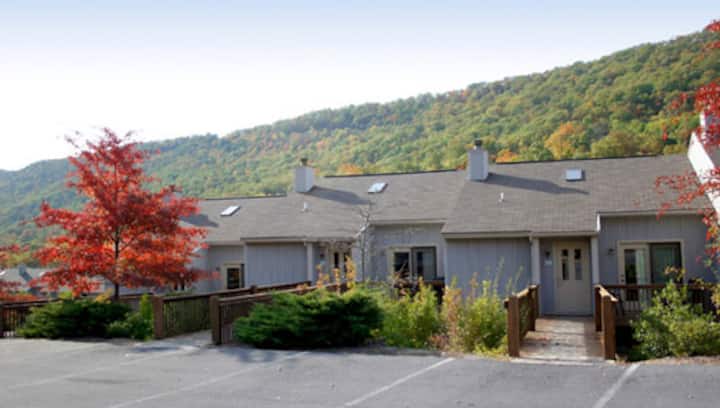 Massanutten 1 Bdrm Resort - Massanutten, VA