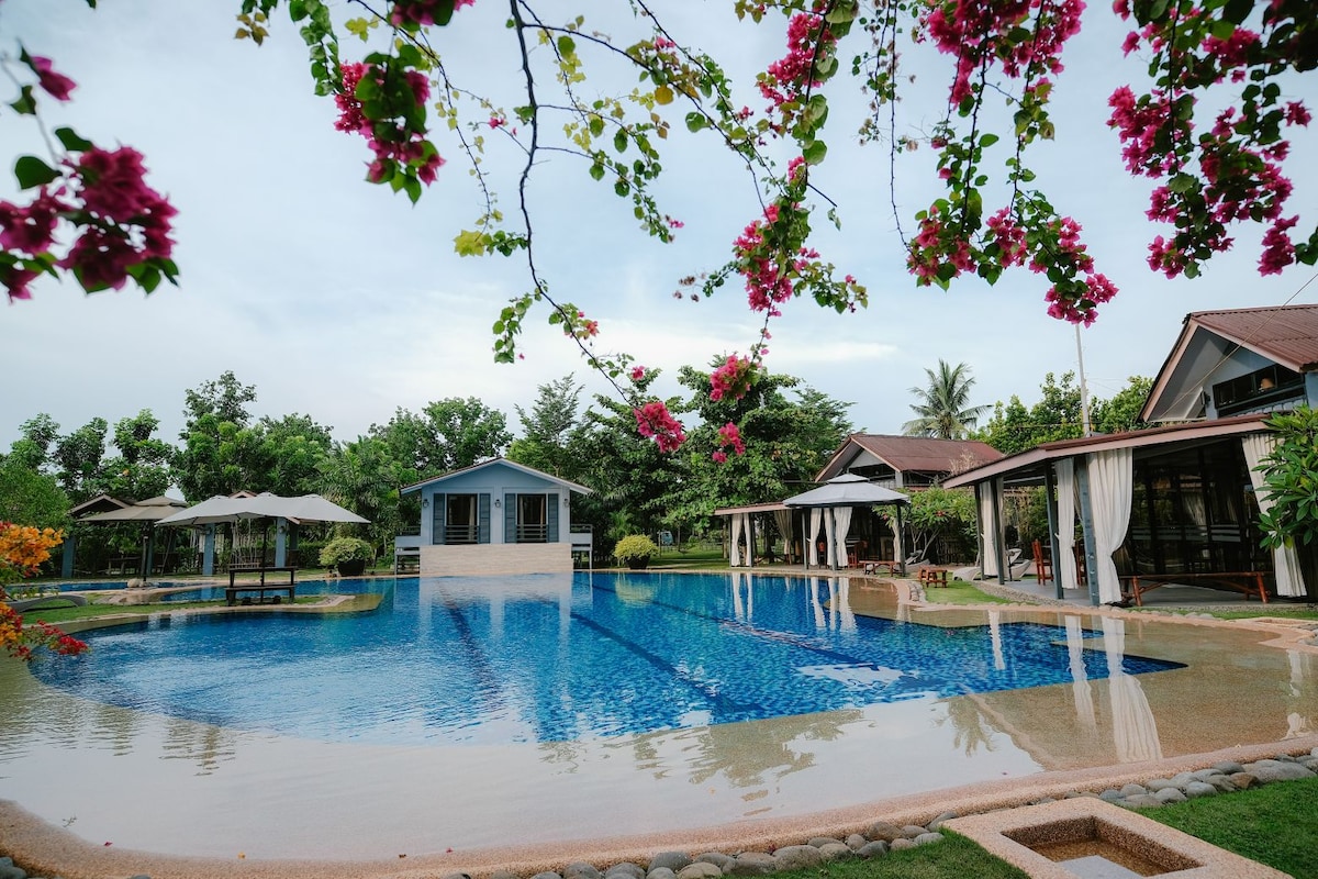 Casa Teresita Exclusive Luxury Property in Cebu - Houses for Rent in ...