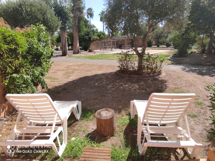 (N°5) F2 Dans Résidence En Bord De Mer - Corsica