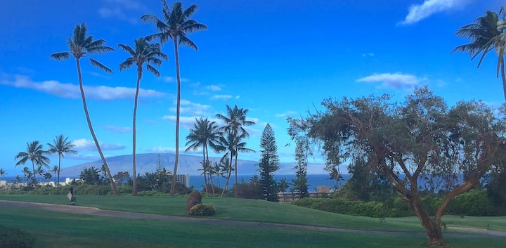 Truly Paradise! - Maui, HI